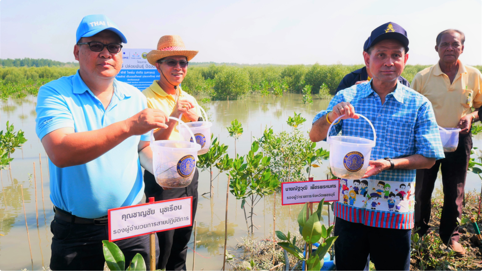 Mangrove reforestation project – PP Prime